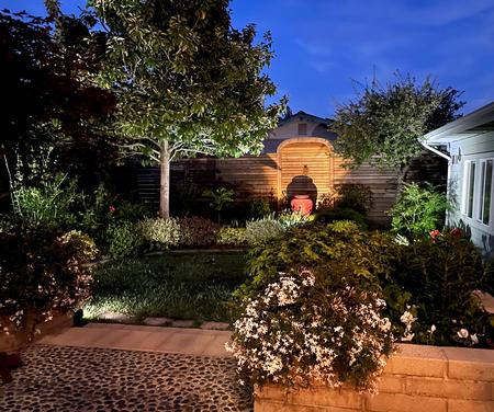 Transform a Mundane Yard into an Oasis by Using an Artist’s Color Pale ...